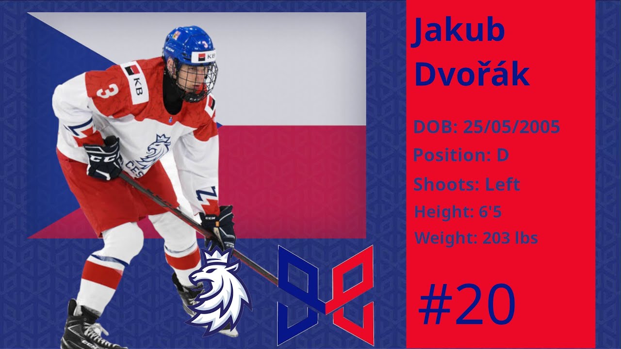 Jakub Dvorak NHL - Net Worth, Contract, Detailed Information ...
