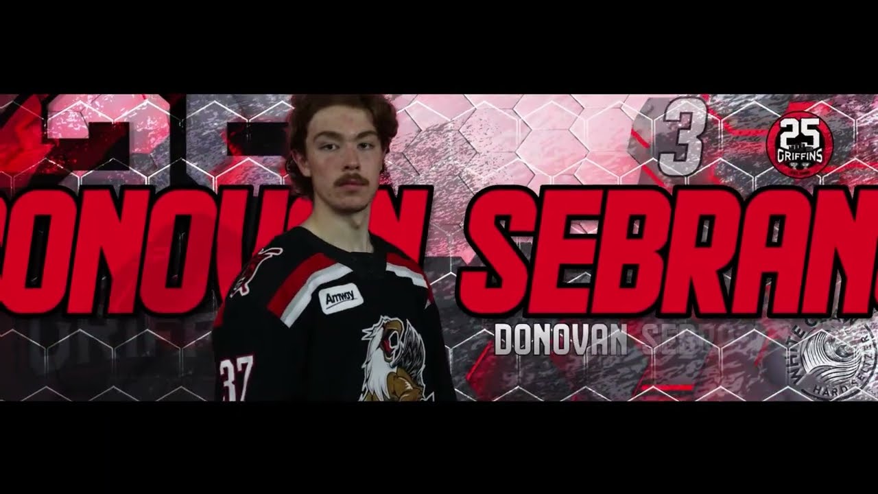 Donovan Sebrango NHL - Net Worth, Contract, Detailed Information ...