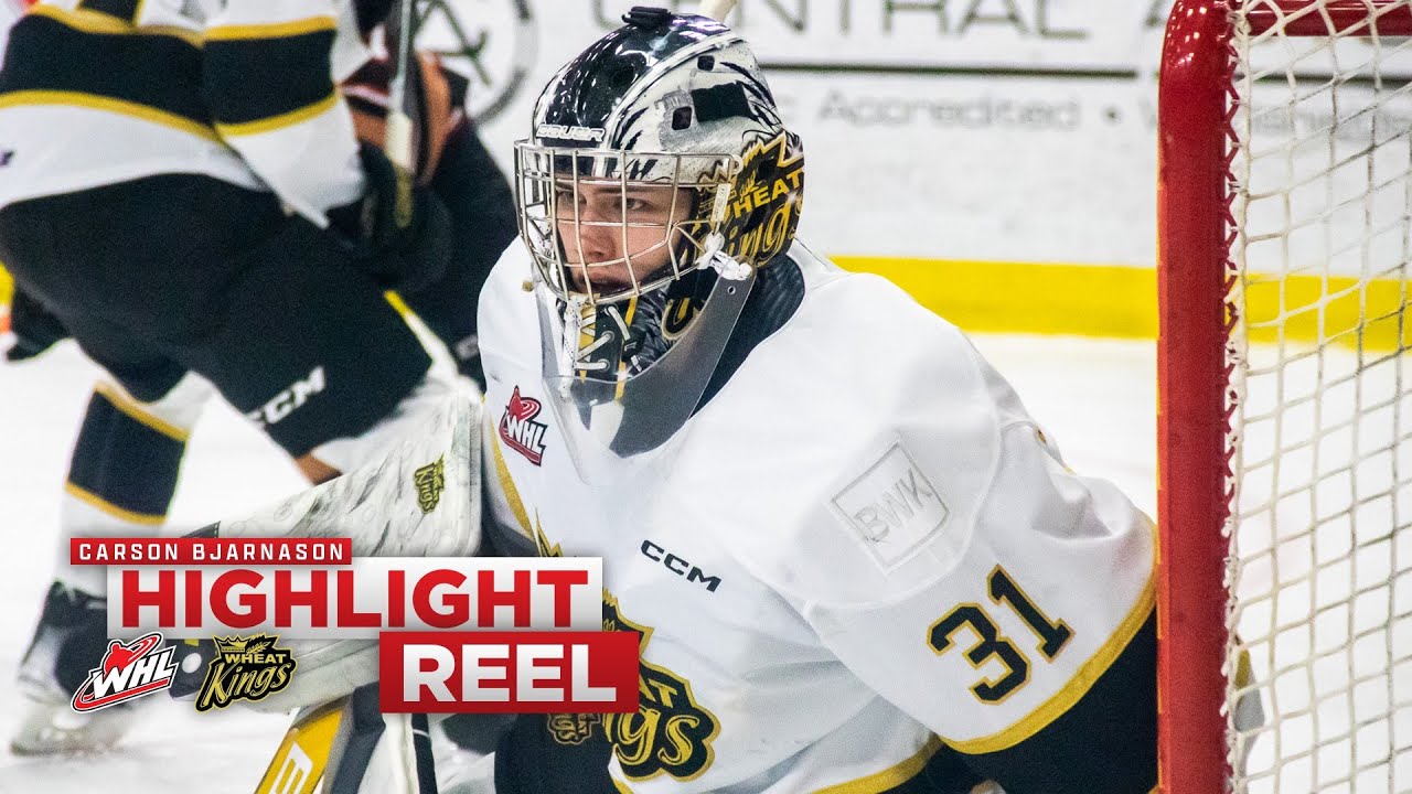 Carson Bjarnason NHL - Net Worth, Contract, Detailed Information ...