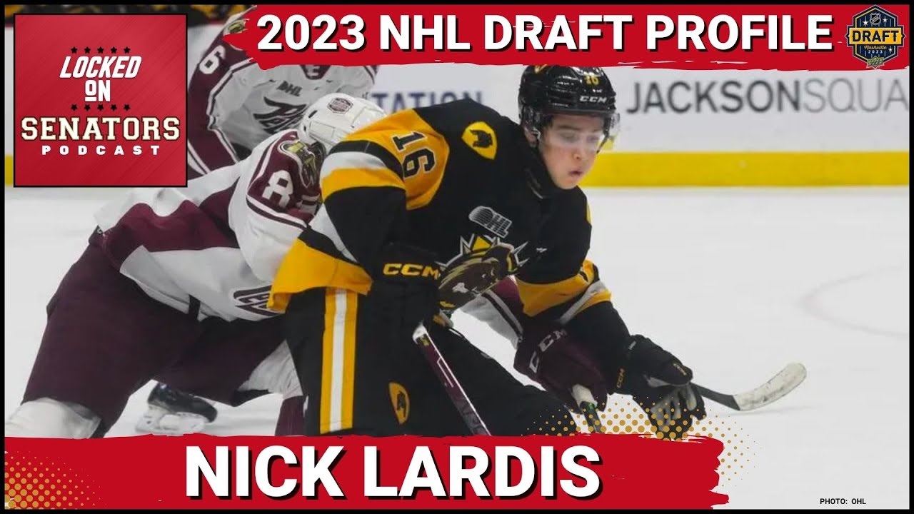 Nick Lardis NHL - Net Worth, Contract, Detailed Information - CollegeNetWorth.com