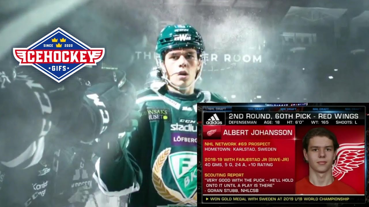 Albert Johansson NHL - Net Worth, Contract, Detailed Information ...