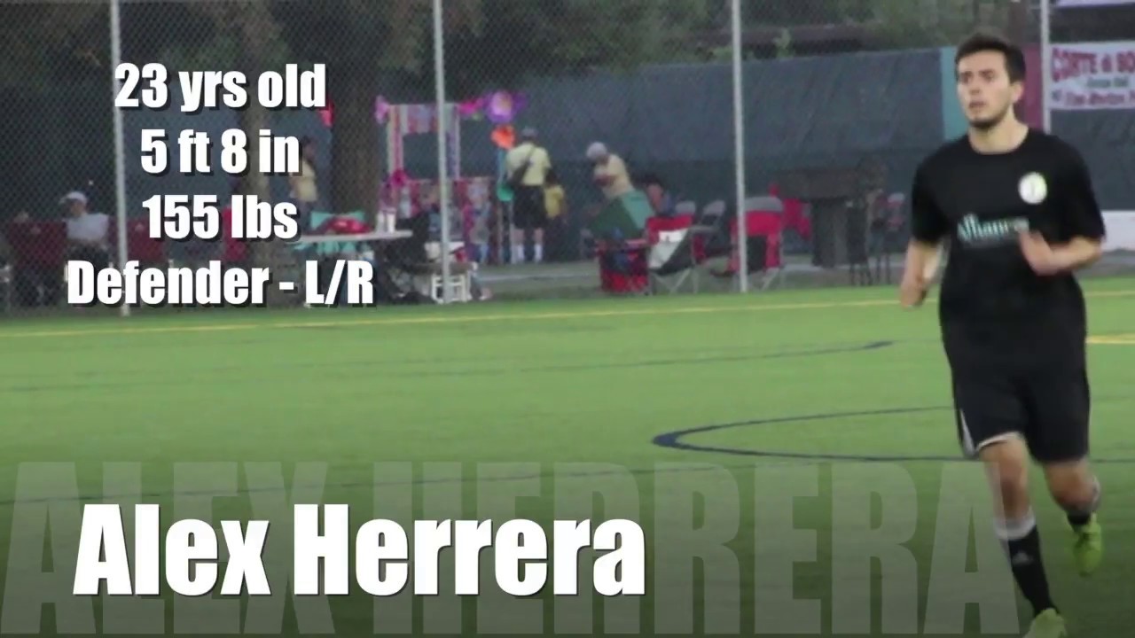 Alex Herrera - South Carolina NIL Deals, Net Worth, Player Information ...