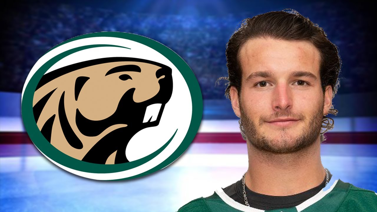 Owen Sillinger NHL - Net Worth, Contract, Detailed Information - CollegeNetWorth.com