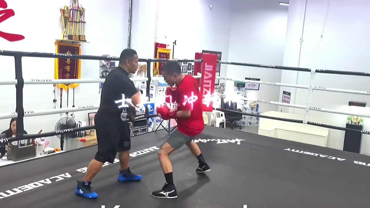 DianXing Zhu Boxing - Net Worth, Contract, Detailed Information ...