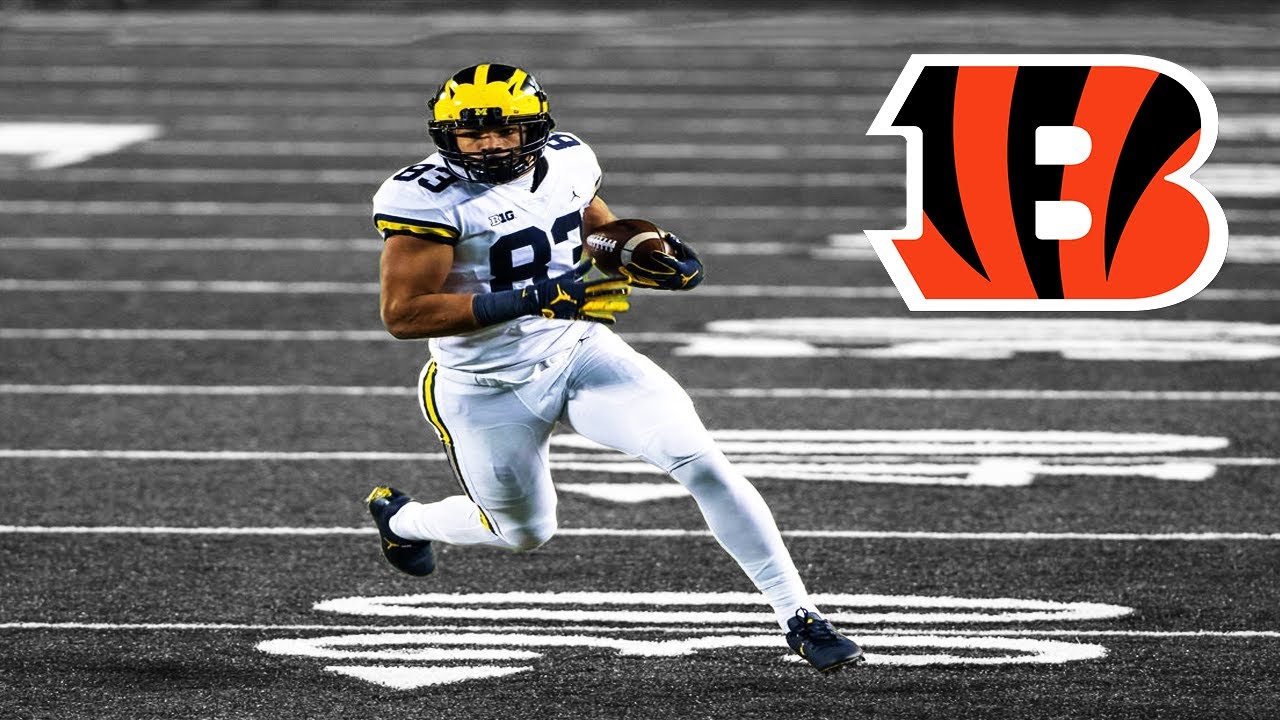 Erick All - Cincinnati Bengals Net Worth, Contract, Detailed ...