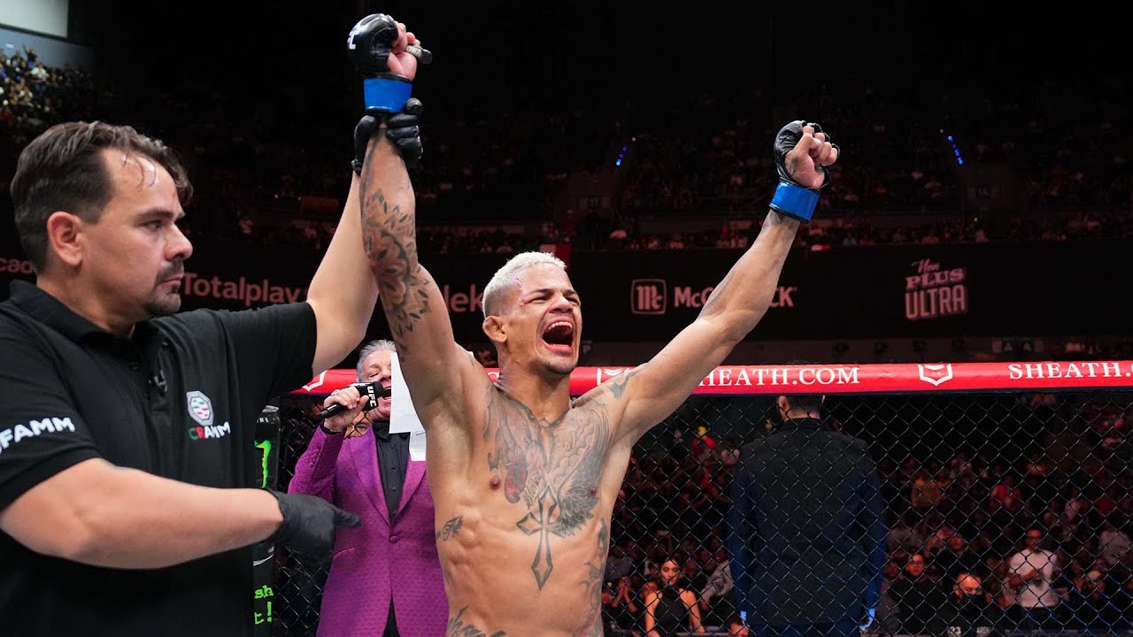 Felipe dos Santos MMA - Net Worth, Contract, Detailed Information ...