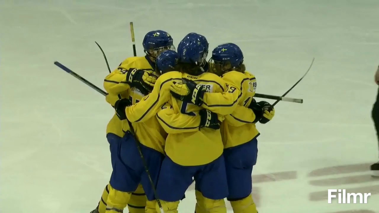 Helge Grans NHL - Net Worth, Contract, Detailed Information ...