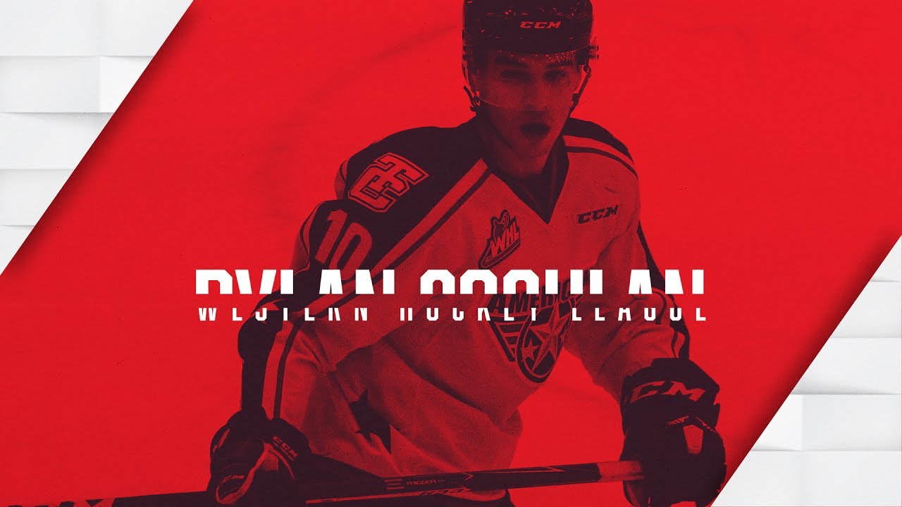 Dylan Coghlan NHL - Net Worth, Contract, Detailed Information ...