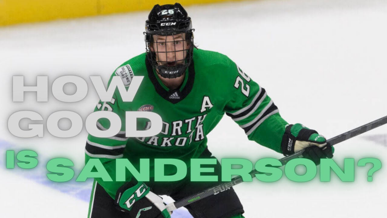 Jake Sanderson NHL - Net Worth, Contract, Detailed Information ...