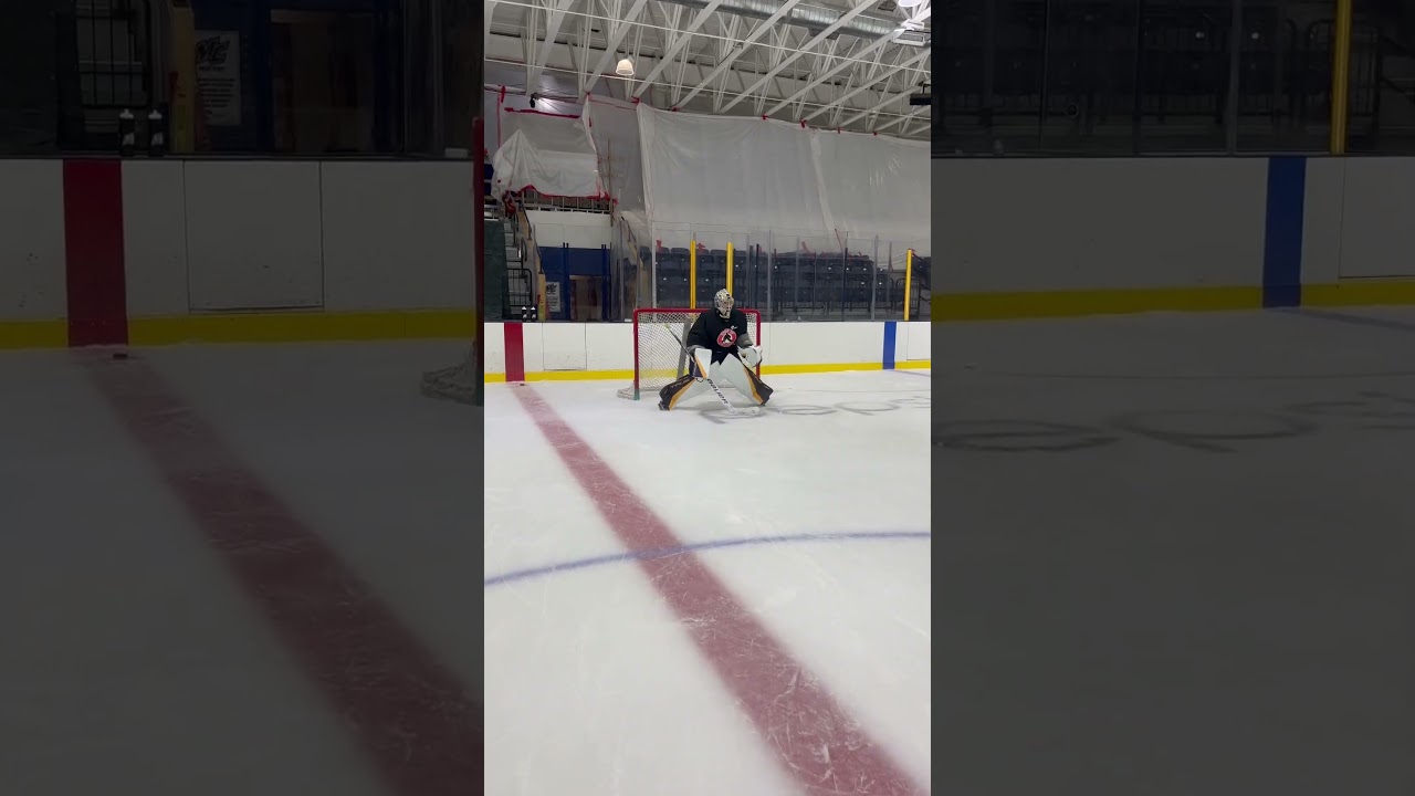 Hugo Ollas NHL - Net Worth, Contract, Detailed Information ...