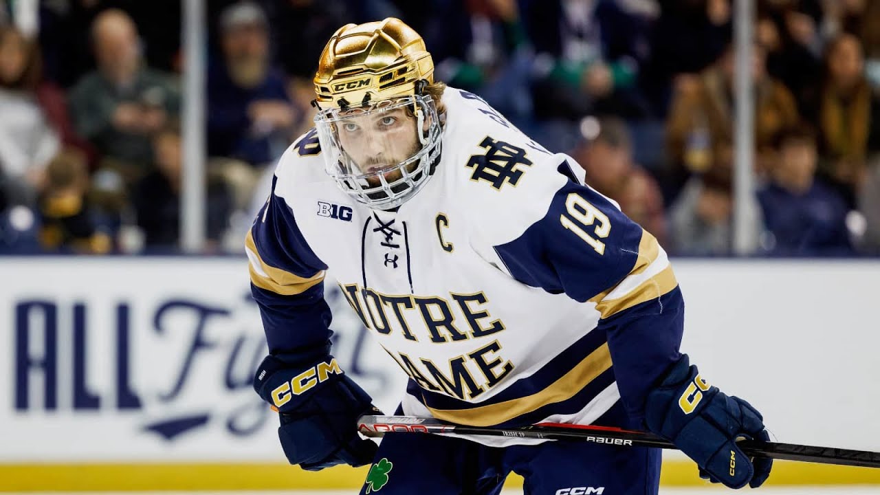 Landon Slaggert NHL - Net Worth, Contract, Detailed Information ...