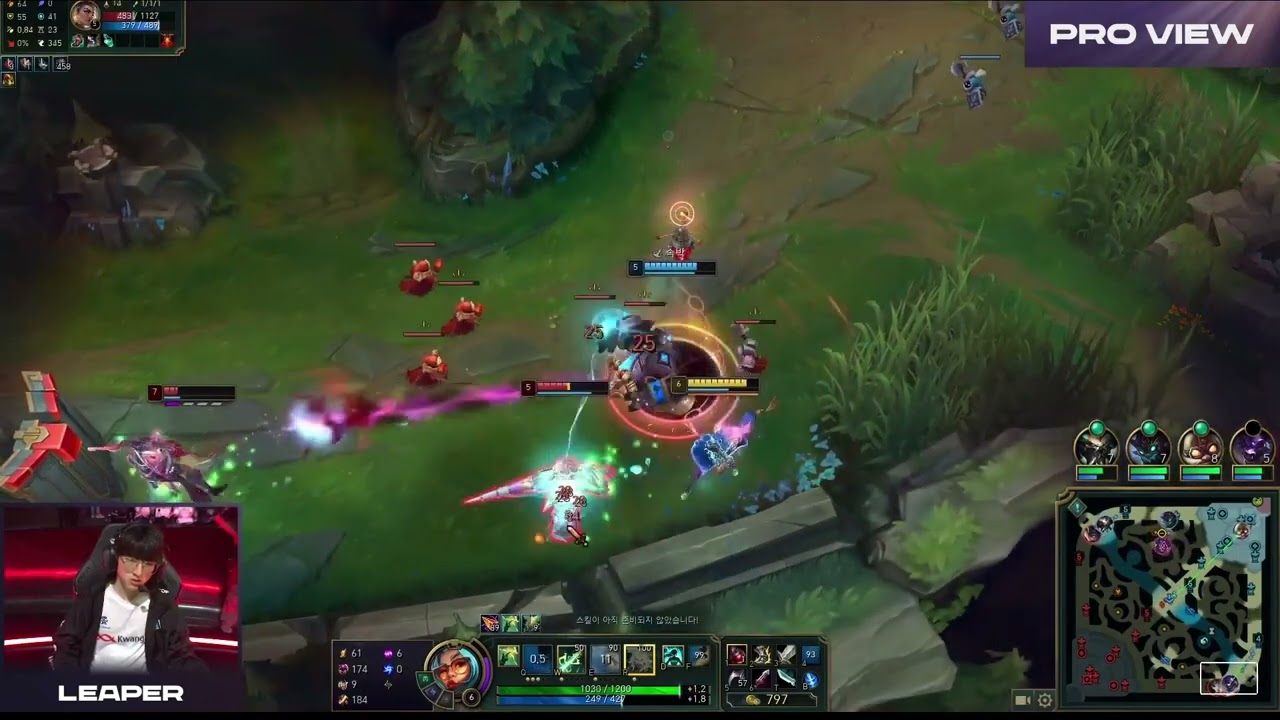 Leaper - League of Legends Salary, Net Worth, Player Information ...