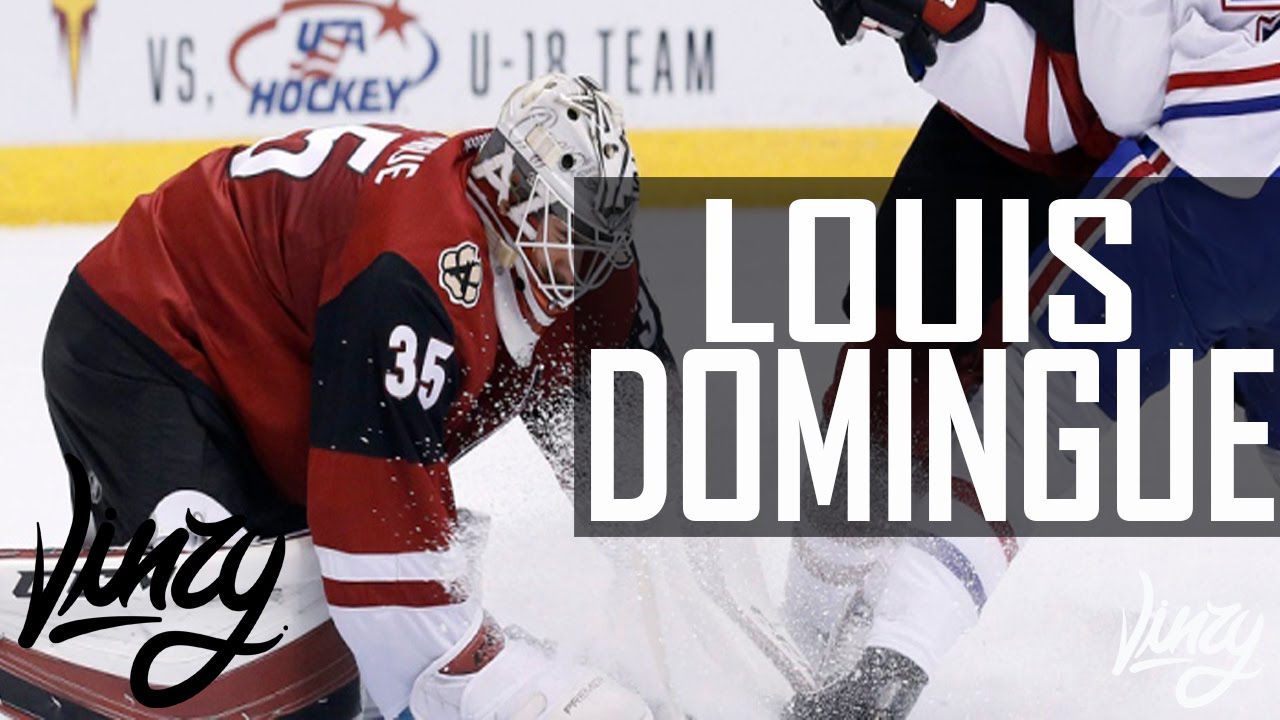 Louis Domingue NHL - Net Worth, Contract, Detailed Information ...