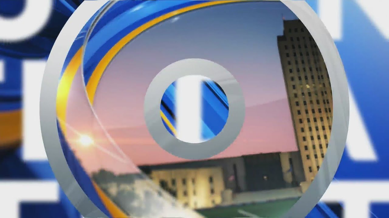 Mason Morelli NHL - Net Worth, Contract, Detailed Information ...