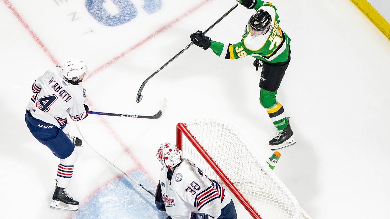 Max McCue NHL - Net Worth, Contract, Detailed Information ...