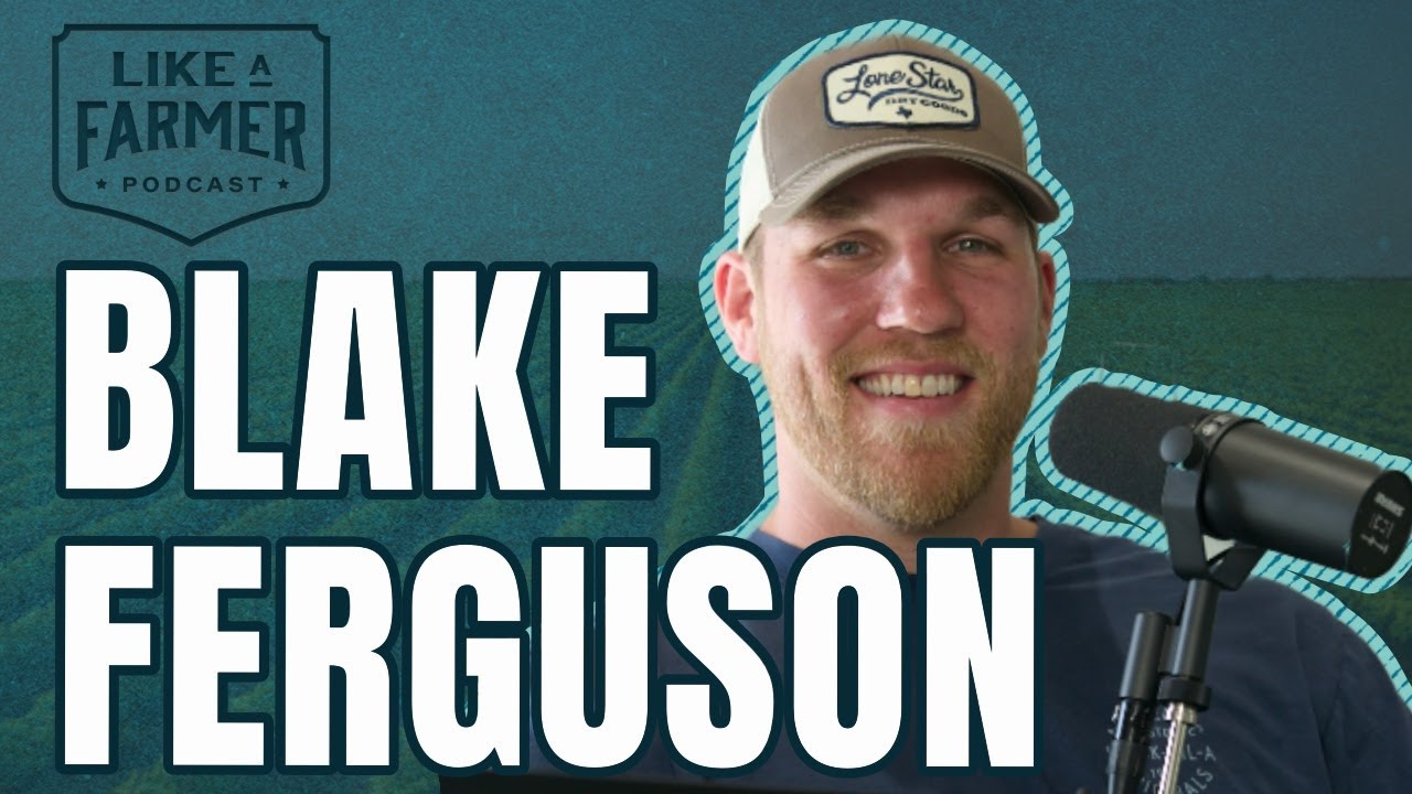 Blake Ferguson - Miami Dolphins Net Worth, Contract, Detailed ...