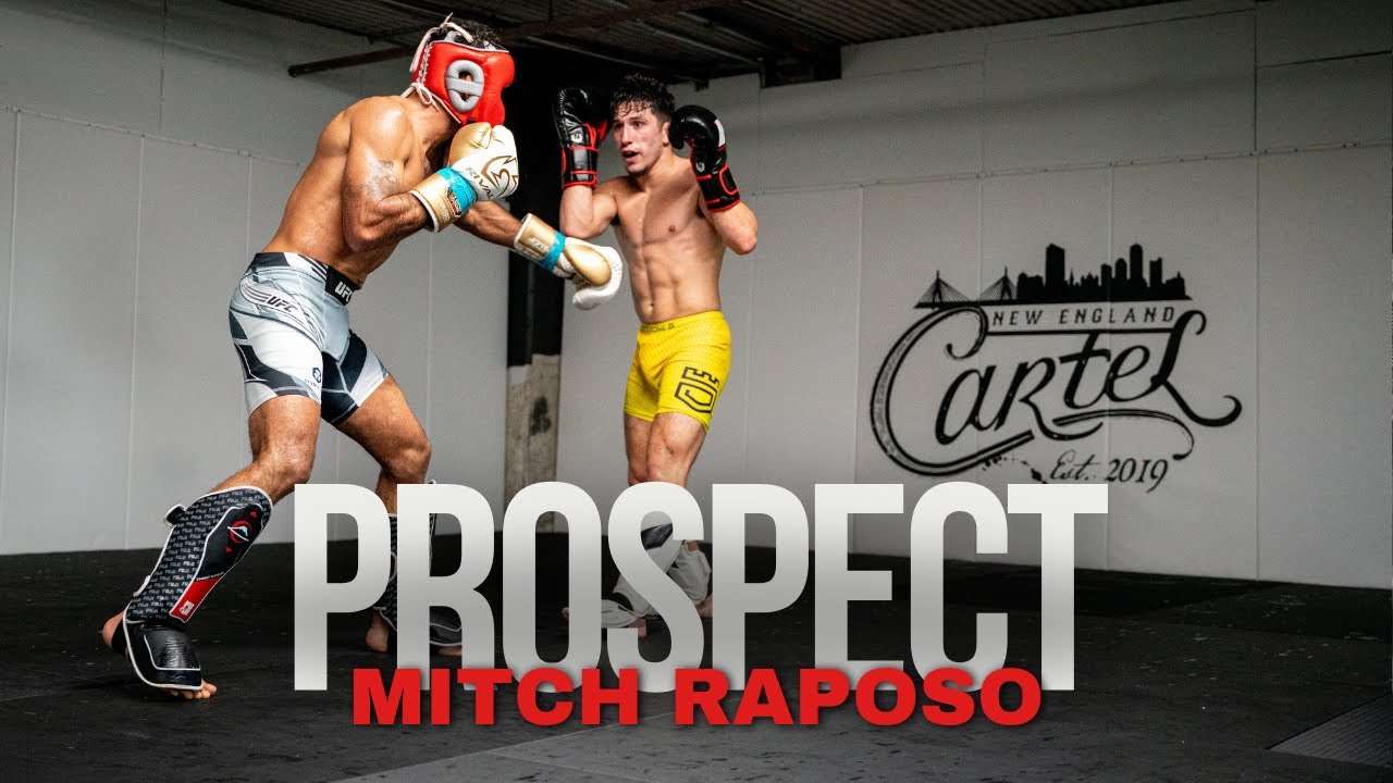 Mitch Raposo MMA - Net Worth, Contract, Detailed Information ...