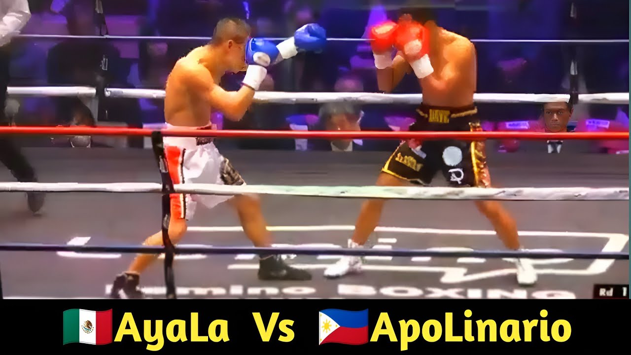 Angel Ayala Boxing - Net Worth, Contract, Detailed Information ...