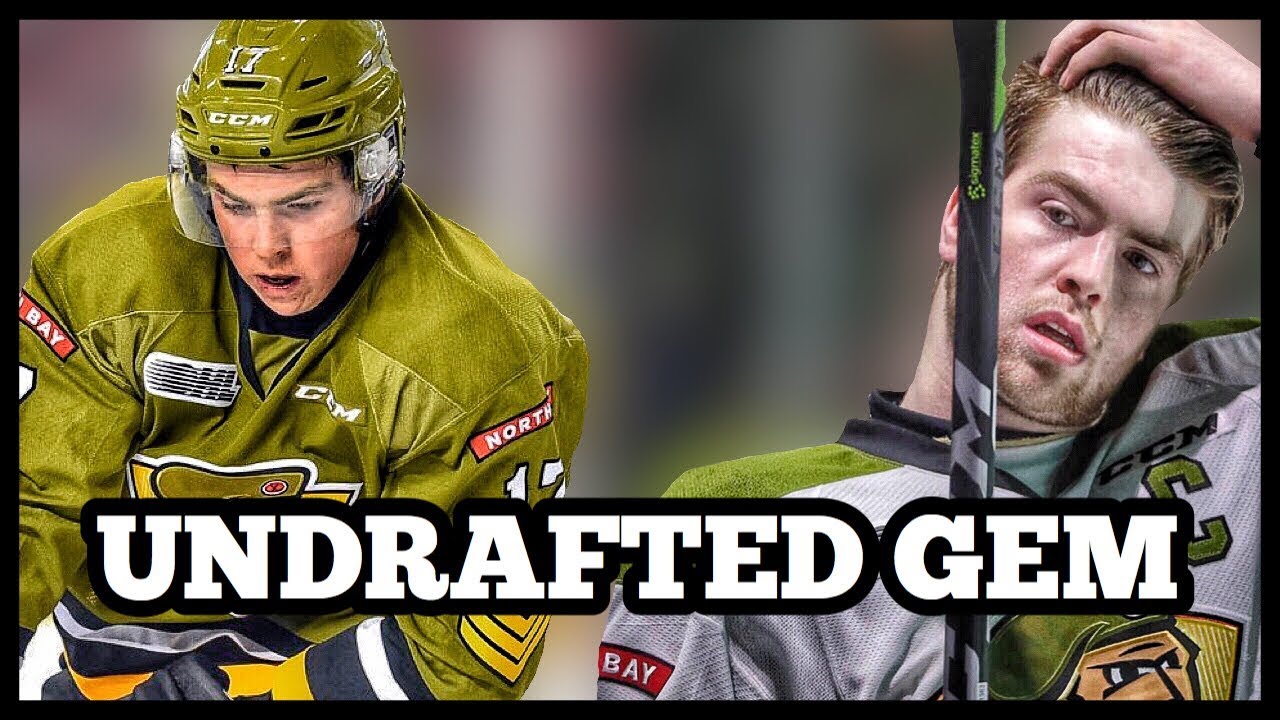 Justin Brazeau NHL - Net Worth, Contract, Detailed Information ...