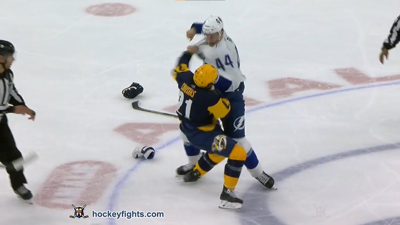 Jan Rutta NHL - Net Worth, Contract, Detailed Information ...