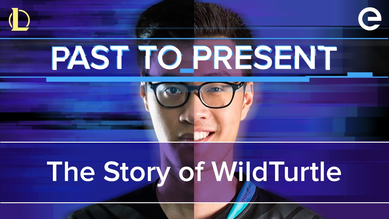 WildTurtle - League of Legends Salary, Net Worth, Player Information ...