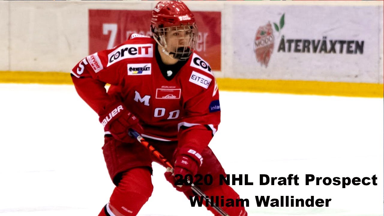 William Wallinder NHL - Net Worth, Contract, Detailed Information ...