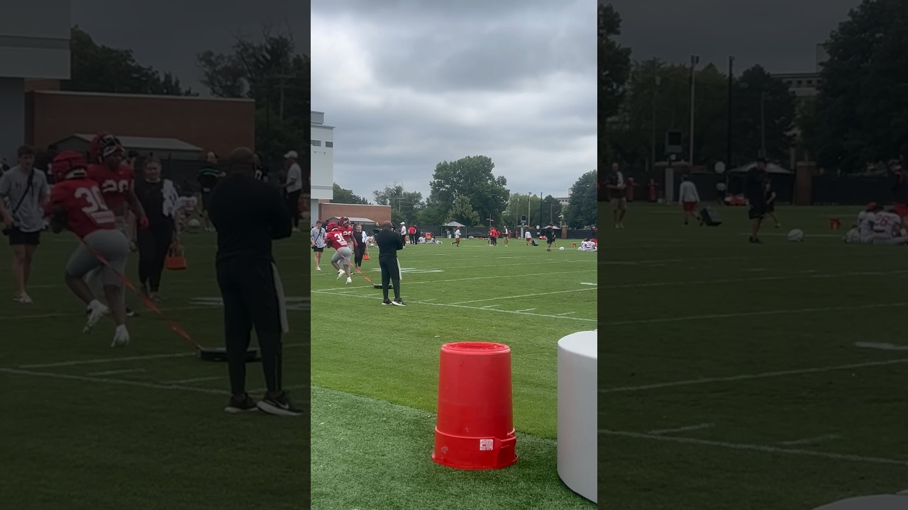 Rashid SeSay - Ohio State NIL Deals, Net Worth, Player Information ...