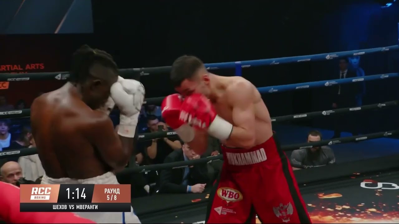 Mukhammad Shekhov Boxing - Net Worth, Contract, Detailed Information ...