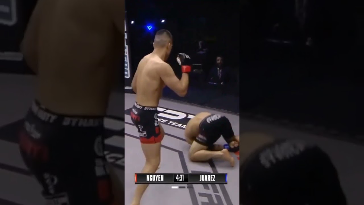 Steven Nguyen MMA - Net Worth, Contract, Detailed Information ...