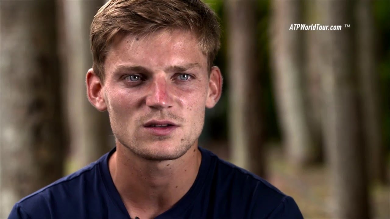 David Goffin - ATP Net Worth, Contract, Detailed Information ...