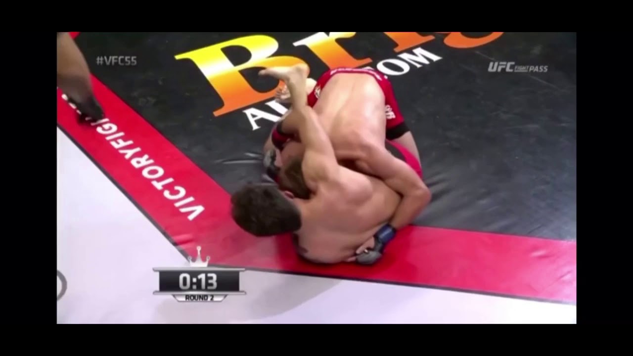 Trey Ogden MMA - Net Worth, Contract, Detailed Information ...