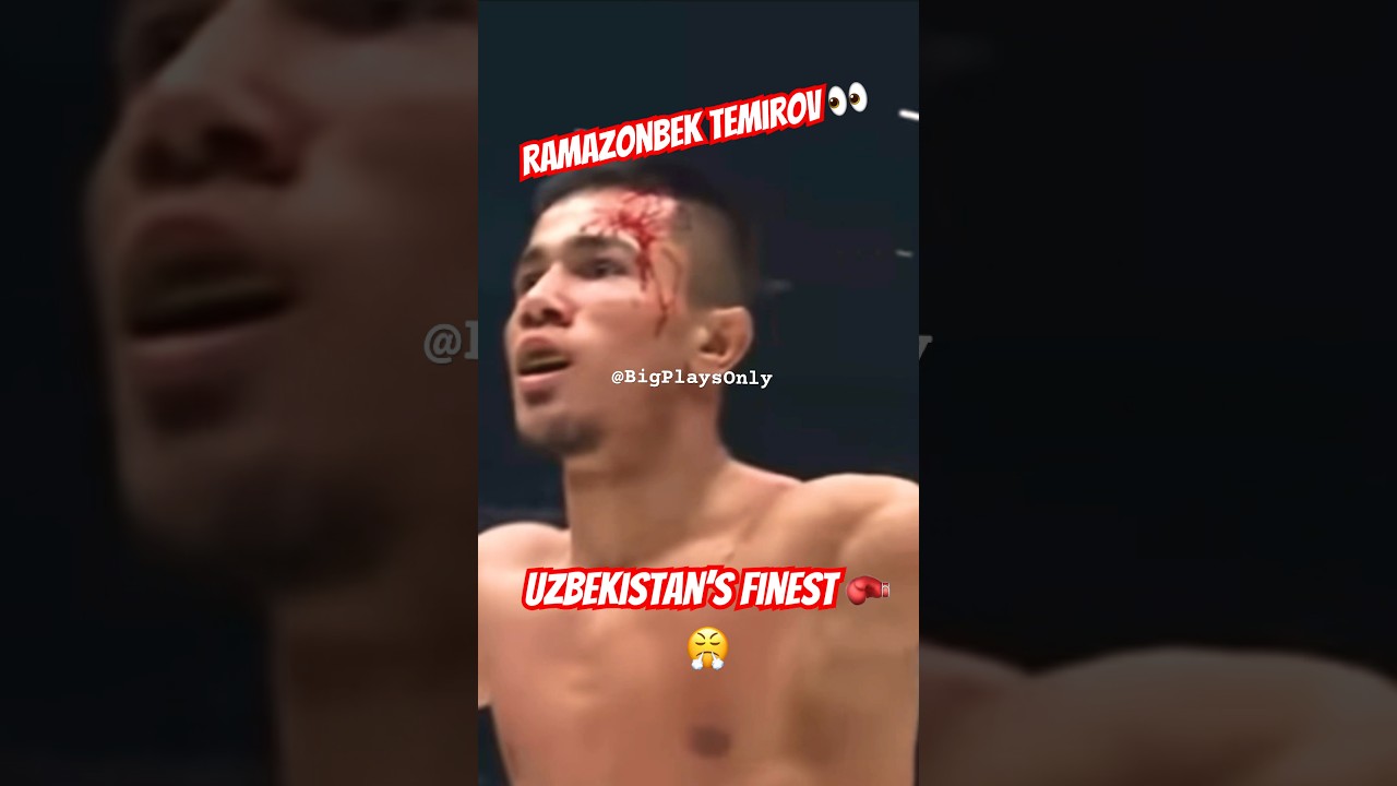 Ramazonbek Temirov MMA - Net Worth, Contract, Detailed Information ...
