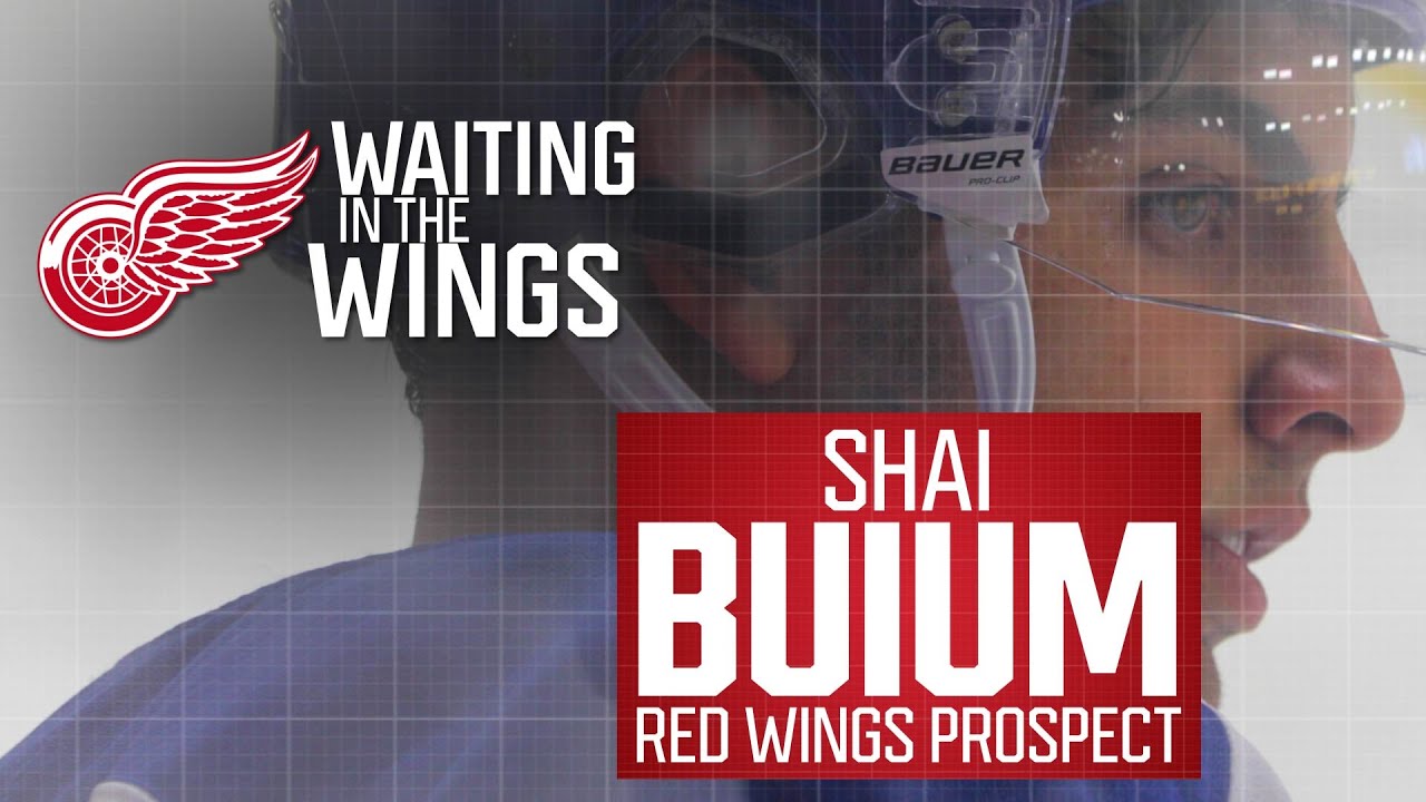 Shai Buium NHL - Net Worth, Contract, Detailed Information ...