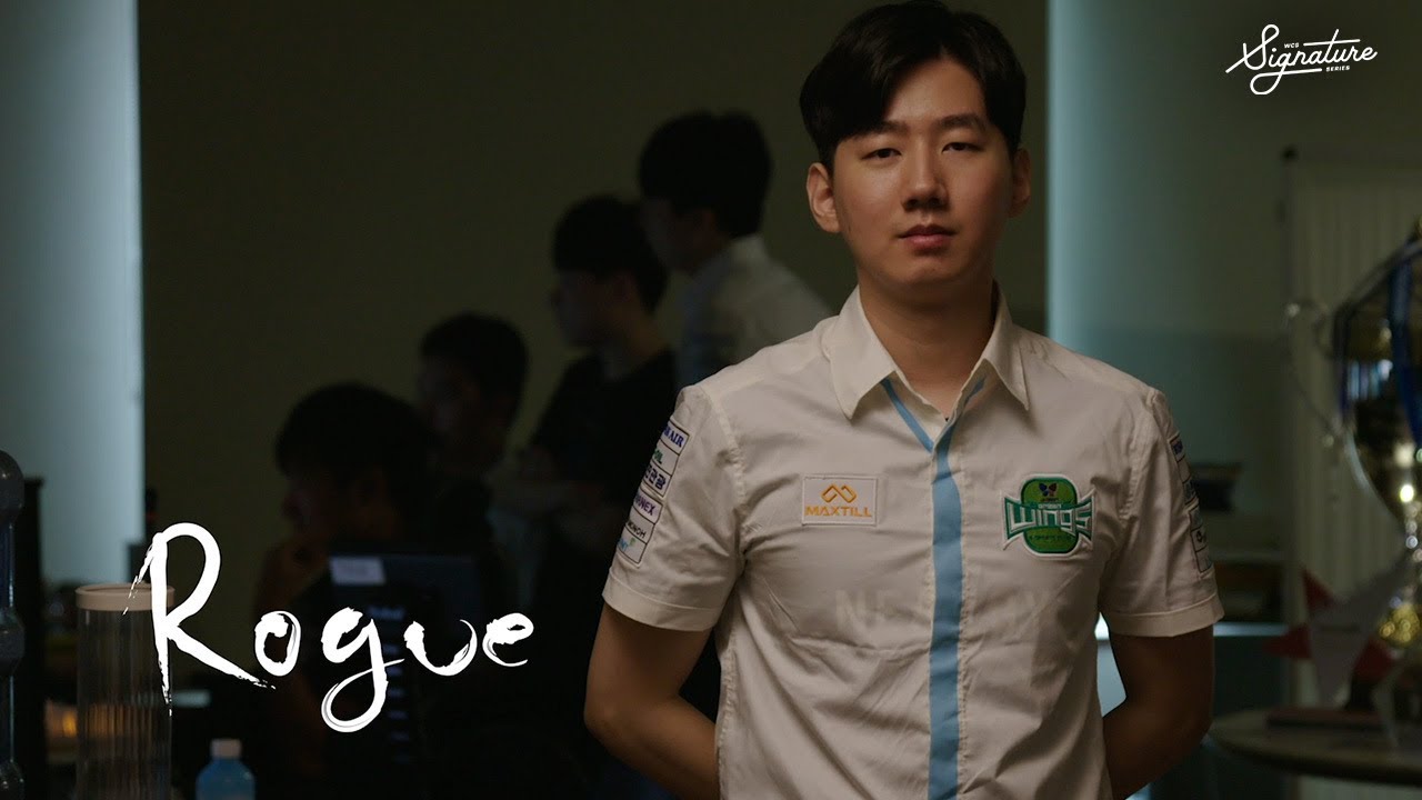 Rogue - Starcraft 2 Salary, Net Worth, Player Information ...
