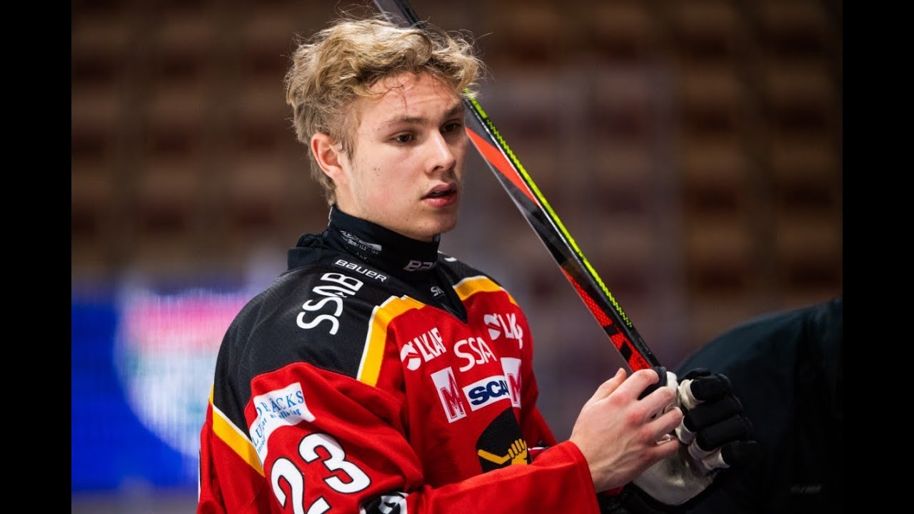 Fabian Lysell NHL - Net Worth, Contract, Detailed Information ...