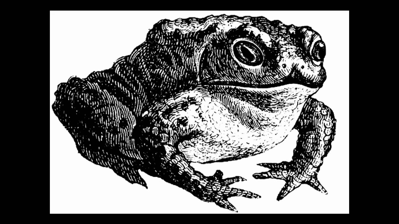 Artosis - Starcraft 2 Salary, Net Worth, Player Information ...