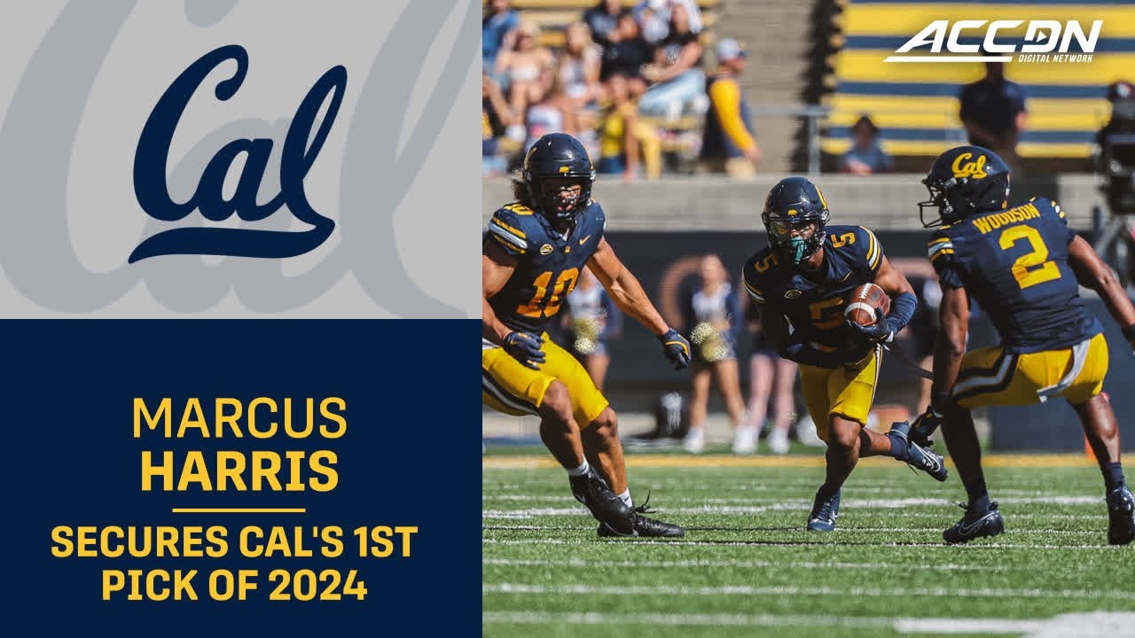 Marcus Harris - Cal Golden Bears NIL Deals, Net Worth, Player ...