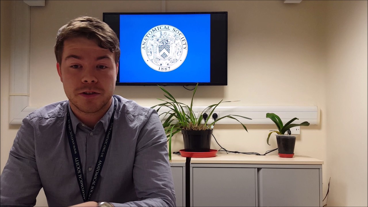 Luke Reed - Akron NIL Deals, Net Worth, Player Information ...