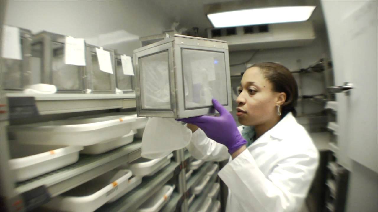 George Dimopoulos - Northern Illinois NIL Deals, Net Worth, Player ...