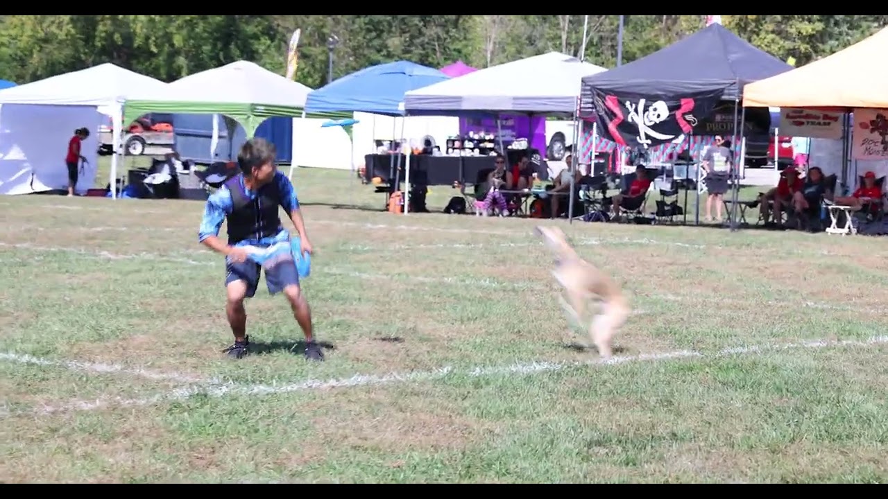 Shaun Neibert - Sam Houston NIL Deals, Net Worth, Player Information ...