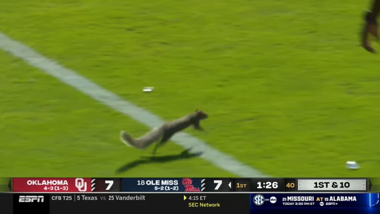 Ole Miss vs Arkansas - November 2, 2024 Preview: Key Matchups ...