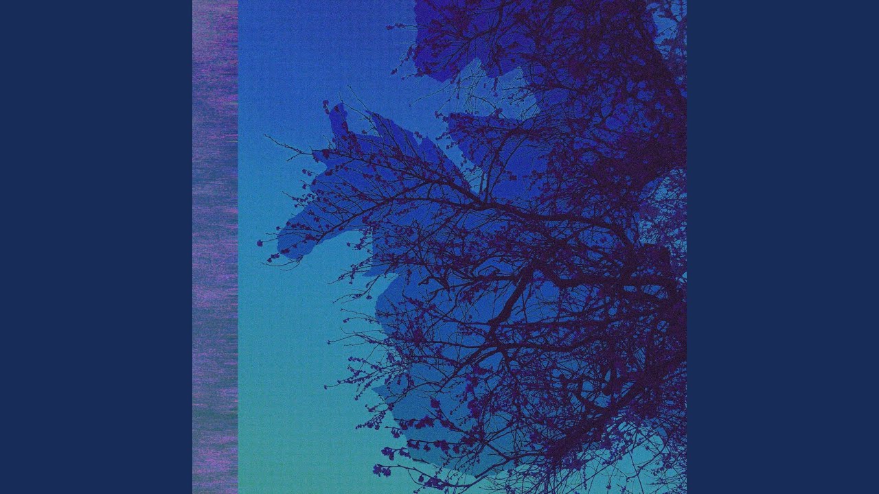 Kenny Reedy - Troy NIL Deals, Net Worth, Player Information ...