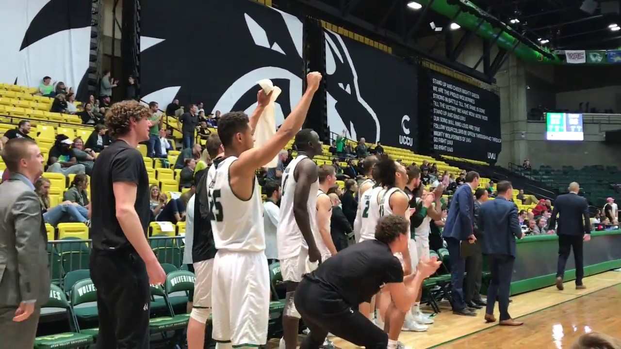 Dominick Nelson - Utah Valley NIL Deals, Net Worth, Player Information ...
