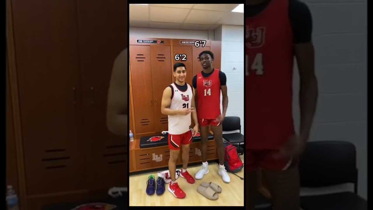 How Tall Is the Average D1 Point Guard? Insights into Height Trends in ...